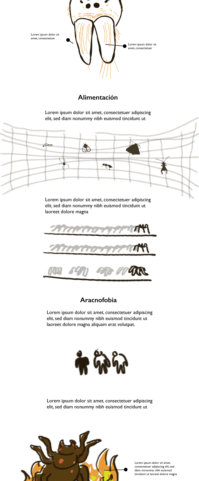 Bocetos Arana Pollito