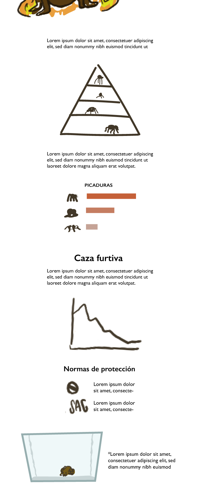 Bocetos Arana Pollito