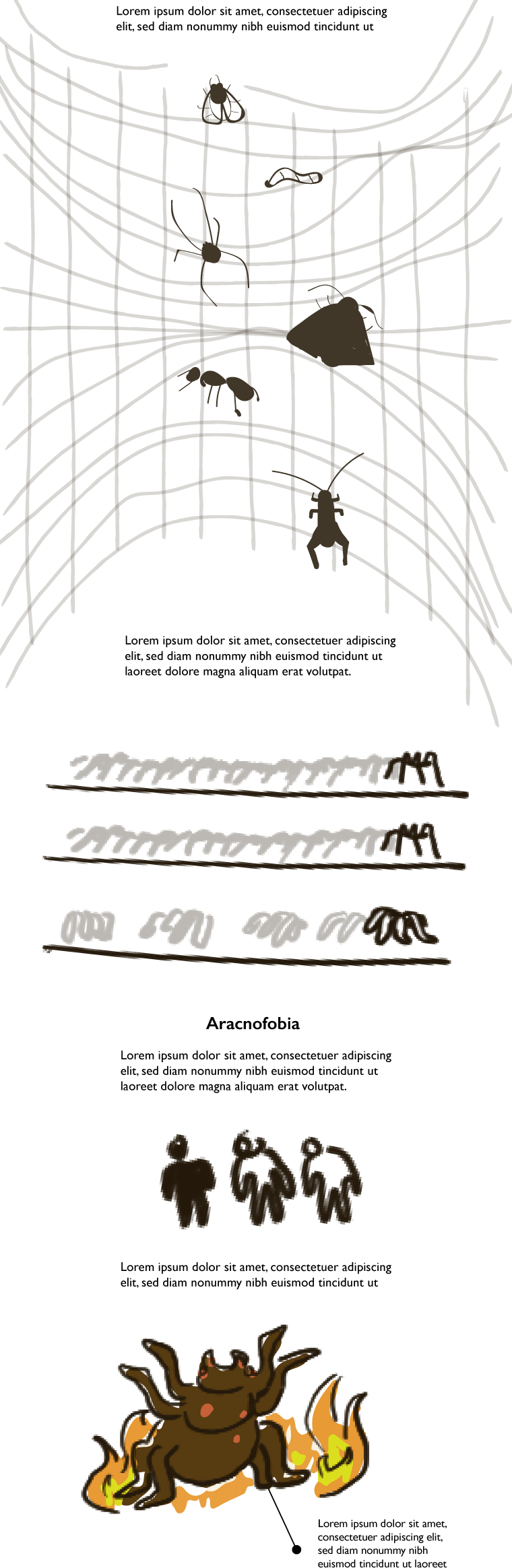 Bocetos Arana Pollito