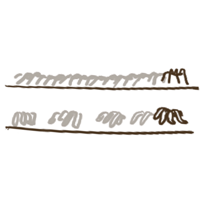 Bocetos Arana Pollito